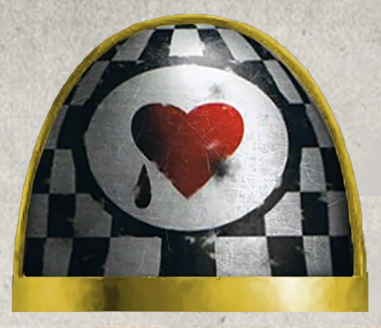 Pauldron Colour Patterns - Space Marine 2