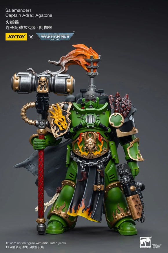 Salamanders Champion for Heavy Class - Space Marine 2